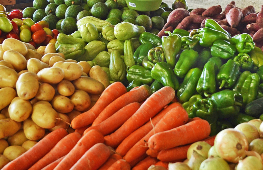Alimentos produzidos pela agricultura familiar vão fazer parte da ...